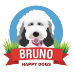 Find a Labradoodles Goldendoodle & Pomeranian - Bruno Happy Dogs